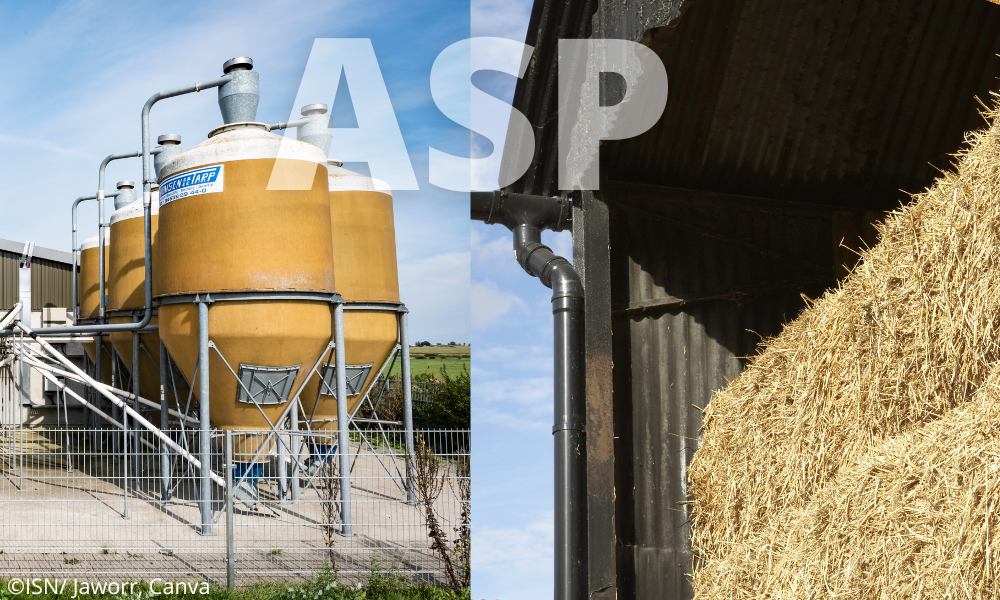 schweine.net - Internationales Forschungsprojekt: Wird die ASP durch ... schweine.net - Internationales Forschungsprojekt: Wird die ASP durch ...