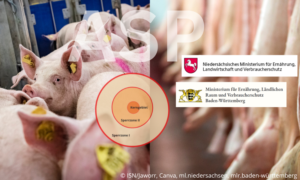 schweine.net - UPDATE 16.09.22 - AMK: Schlachthöfe sollen zur Abnahme ...