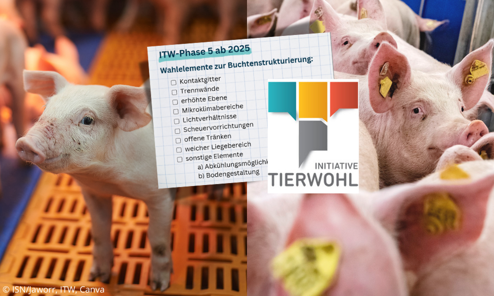 schweine.net - Initiative Tierwohl: Stichtag 1. April – Umsetzung der ...