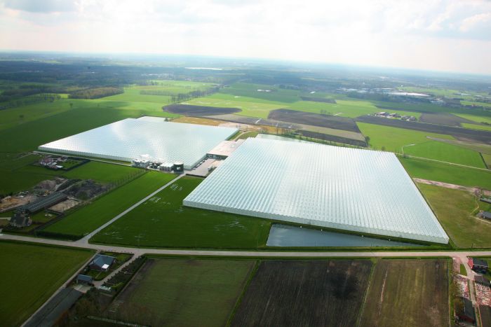 schweine.net - Big Dutchman beginnt Zusammenarbeit mit führendem ...