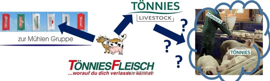 schweine.net - Tönnies Livestock: Großer Schritt in Richtung vertikale ...